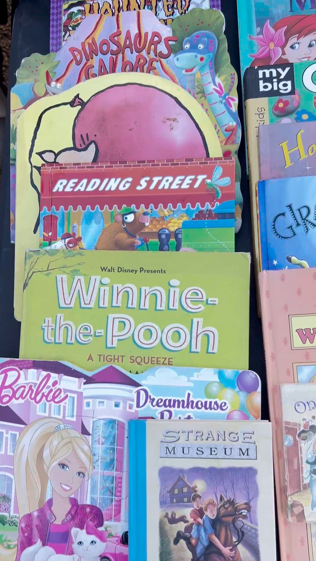 20 Mixed Books Larger Sizes